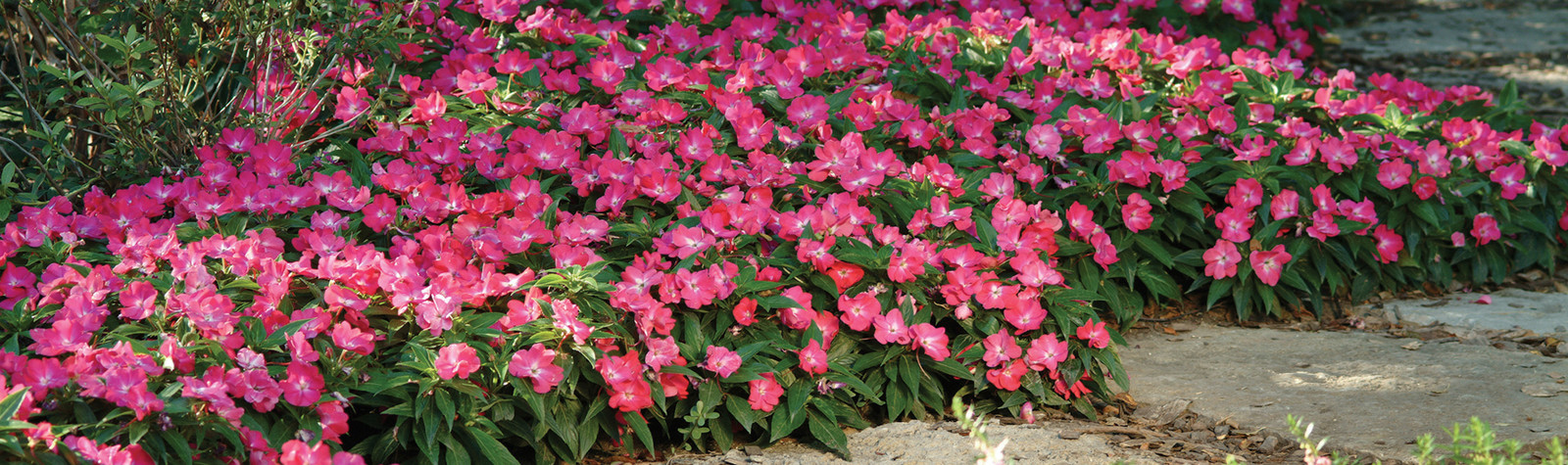 Galecki Landscaping, LLC | Serving all of Connecticut