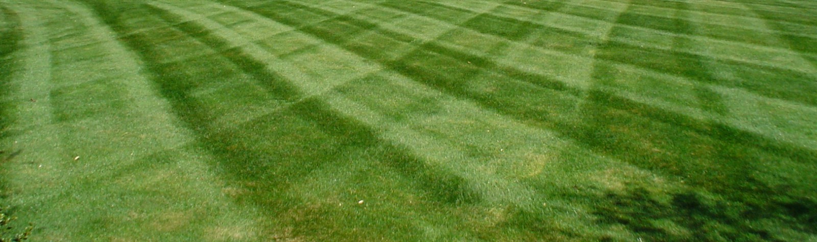 Galecki Landscaping, LLC | Serving all of Connecticut