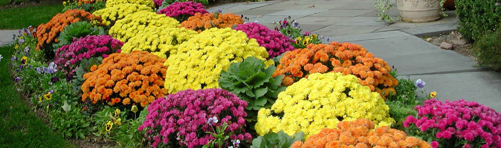Galecki Landscaping, LLC | Serving all of Connecticut
